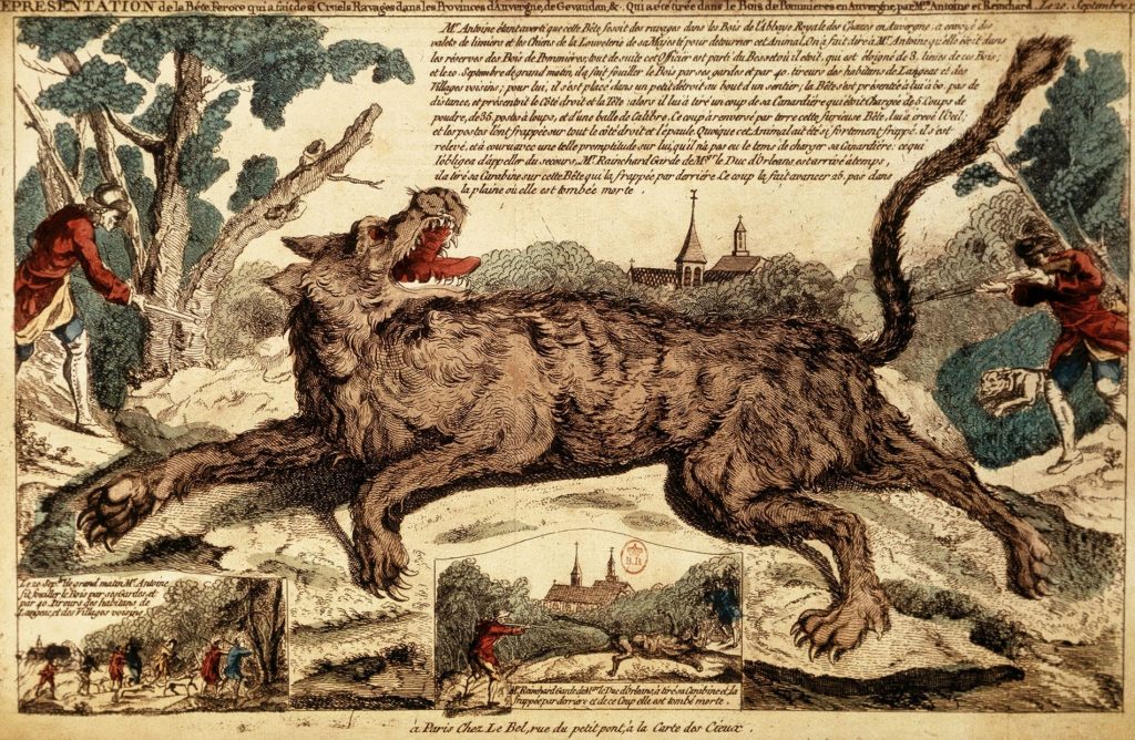 10 Animals With Blue Blood - nickiy.com