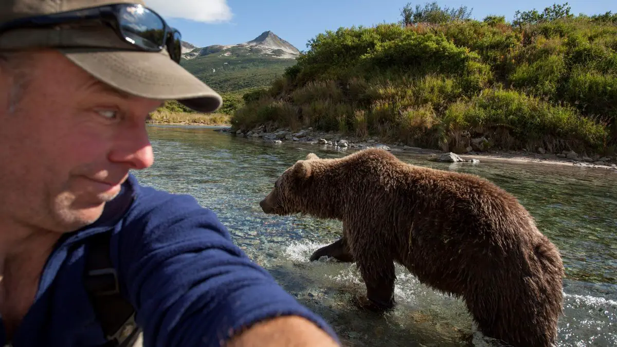 Why Are Animals Scared Of Humans? - nickiy.com